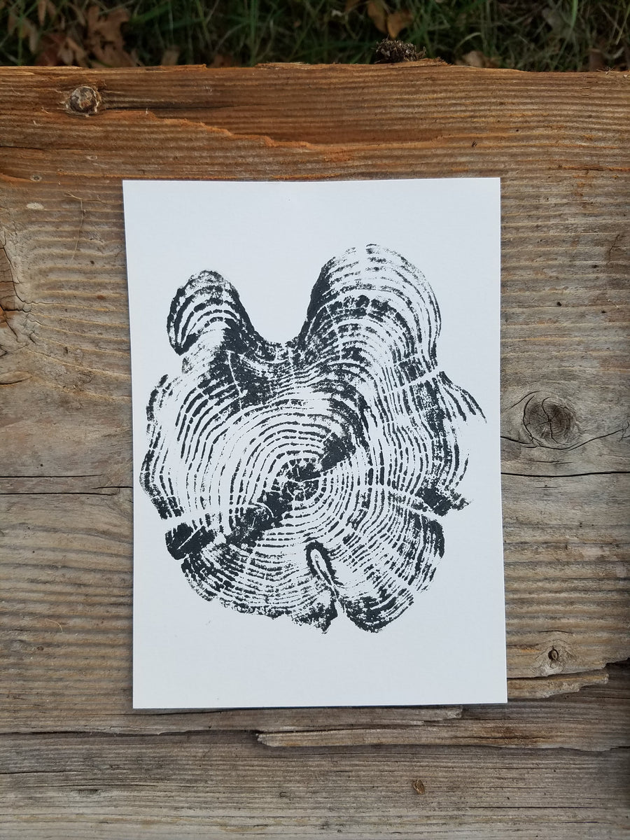 Cedar II - Tree Ring Print - Regal Violet Studio