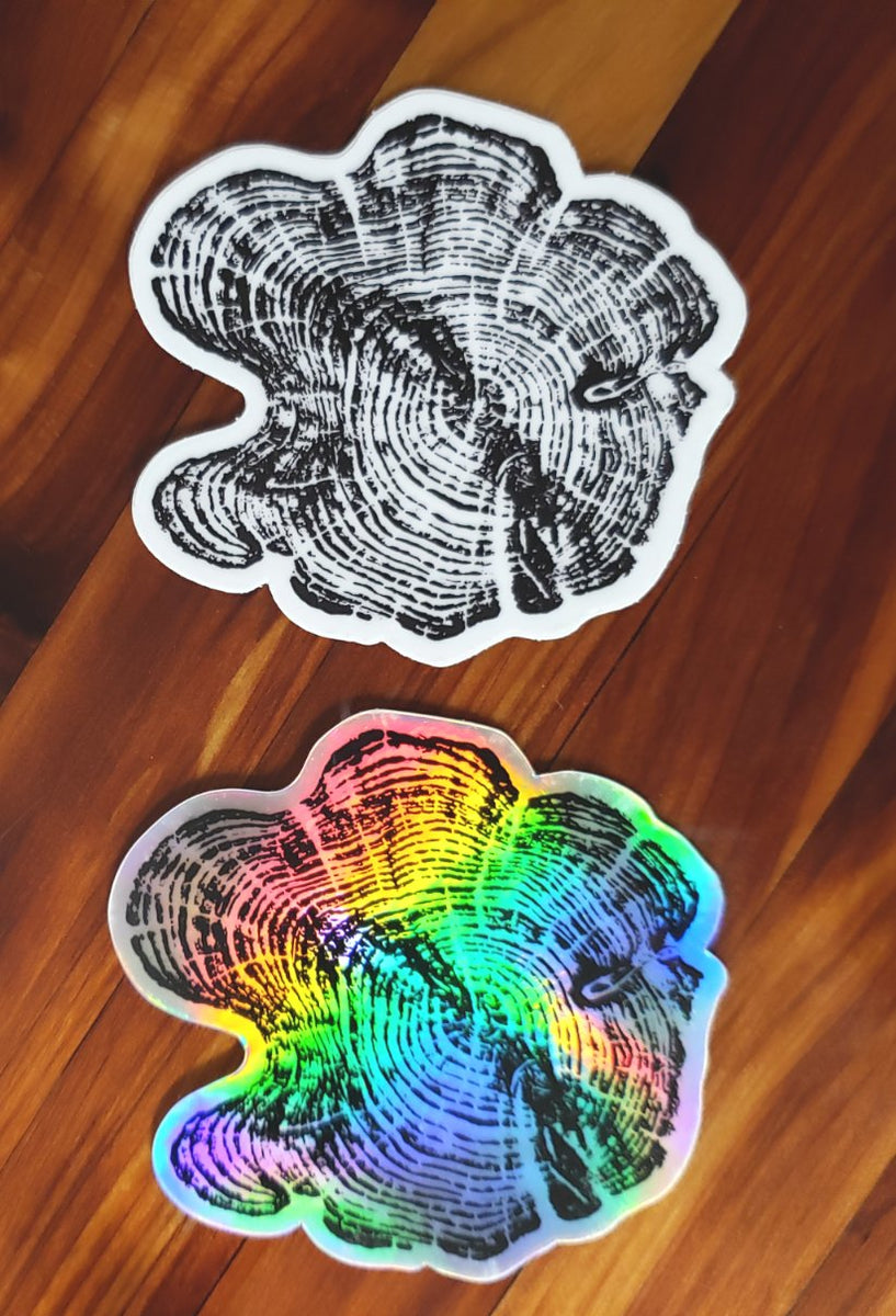 Cedar II Sticker - Regal Violet Studio - Vinyl Tree Ring Stickers
