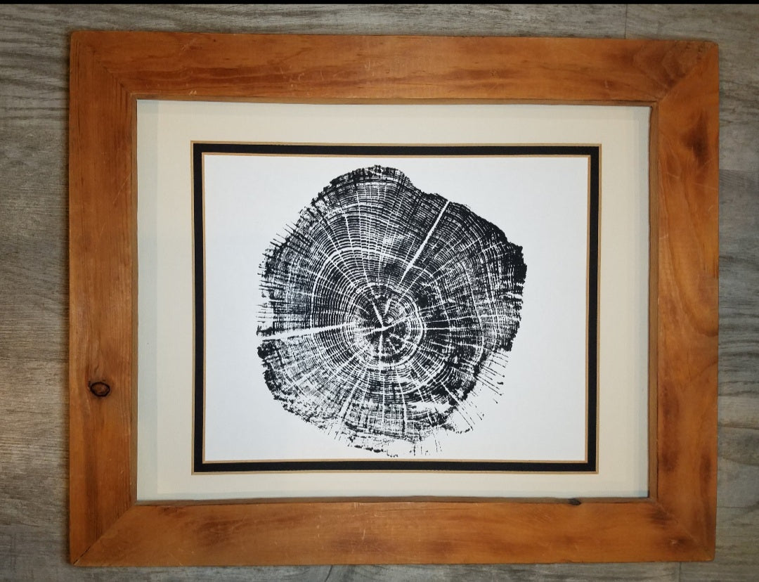 Black Walnut I - Tree Ring Print - Regal Violet Studio